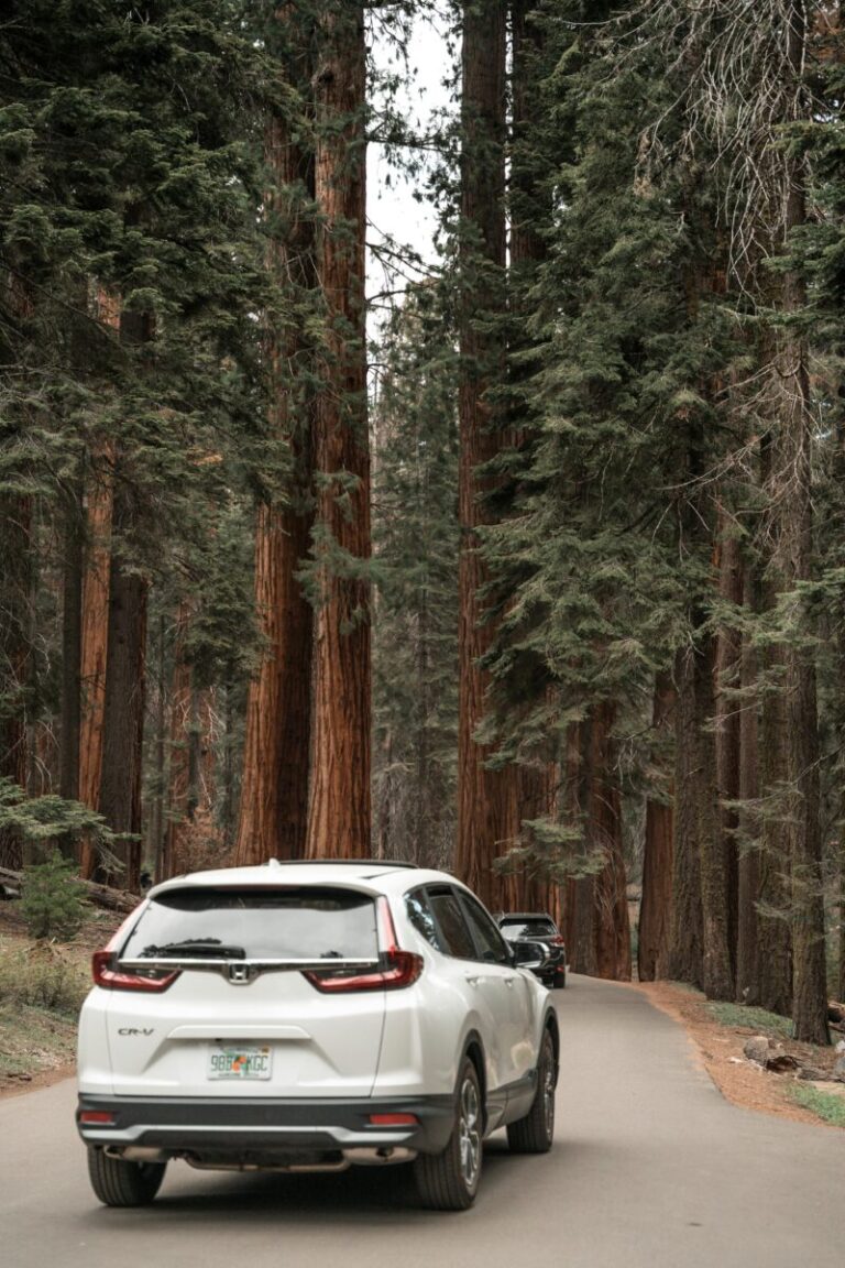 Vehicle Talk: What’s the Meaning of ICE & EV (Vehicle Emissions)? - Global MRV